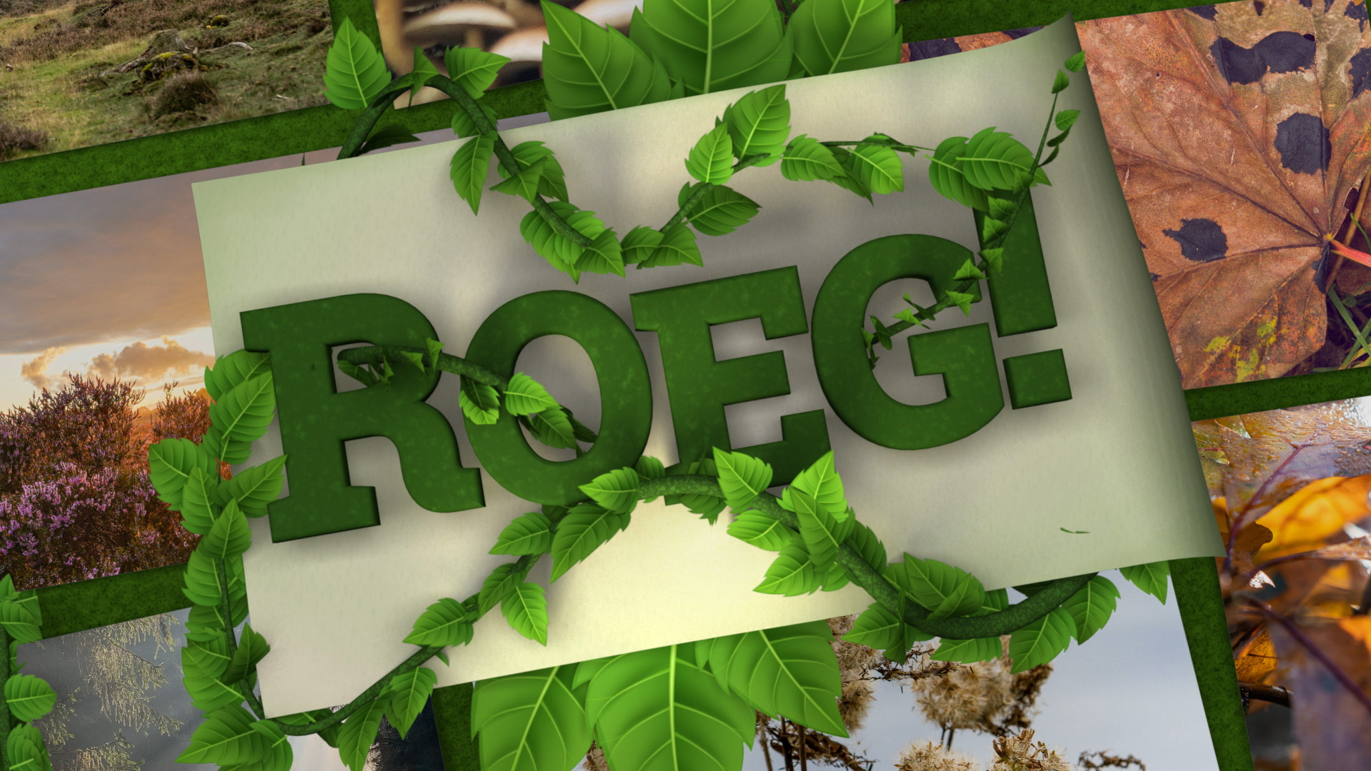 ROEG - De Nieuwe Kolk