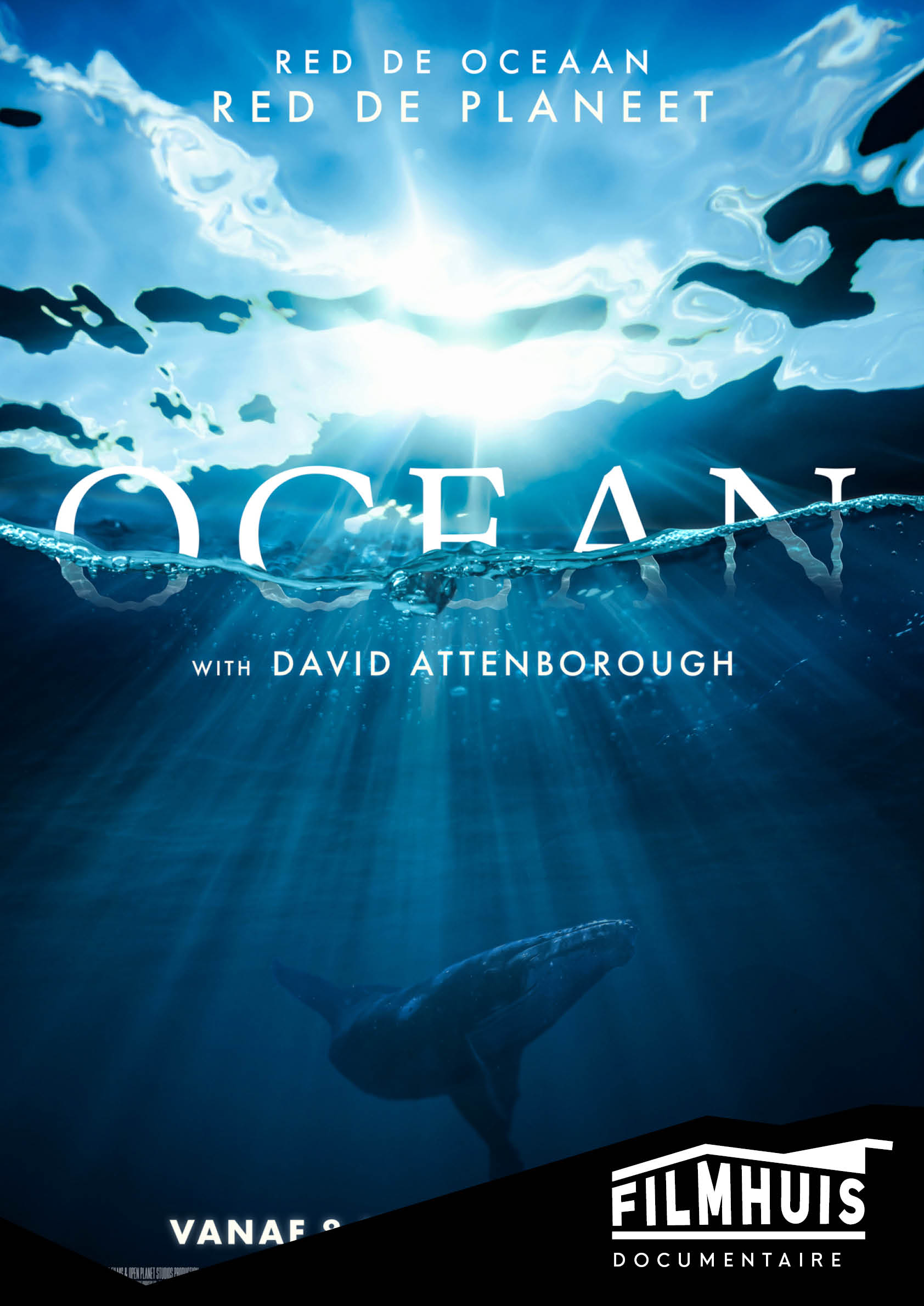 OCEAN with David Attenborough - De Nieuwe Kolk